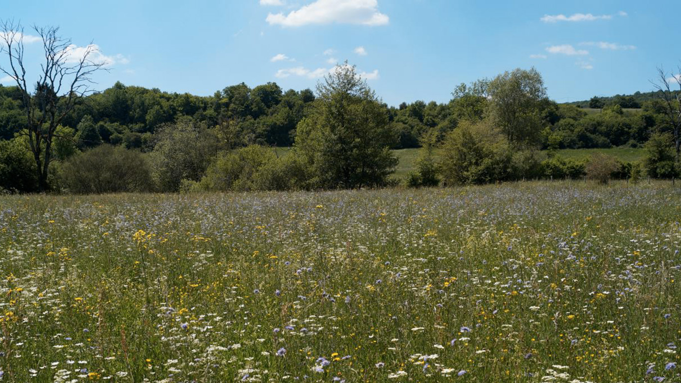 Mise en location de parcelles agricoles à Montagny : appel à ...